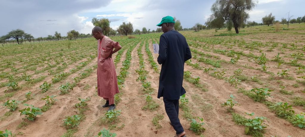 Ouarkhokh région de Louga, Niakhar région de Fatick, terrains d ...