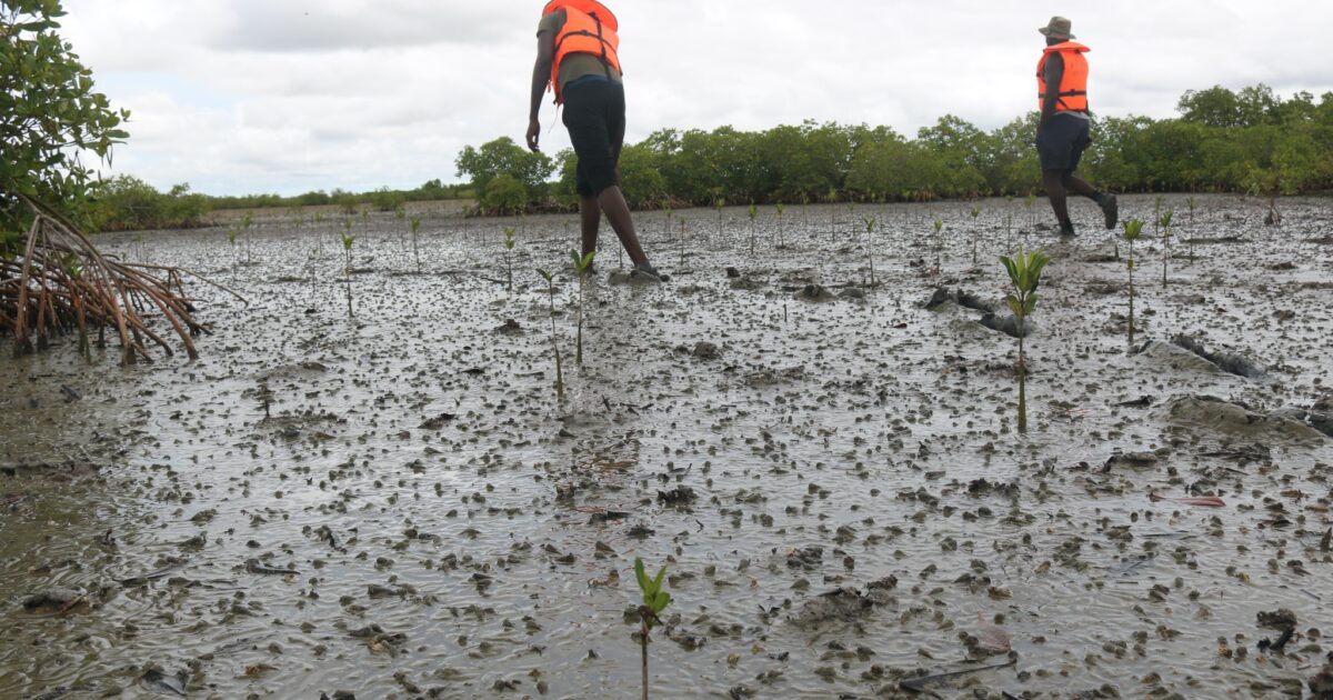 𝗘𝗻 𝗽𝗲𝗿𝘀𝗽𝗲𝗰𝘁𝗶𝘃𝗲 𝗱’𝘂𝗻 𝗿𝗲𝗯𝗼𝗶𝘀𝗲𝗺𝗲𝗻𝘁 𝗱𝗲 plus de 𝟰𝟬 𝗵𝗮 – CNCR